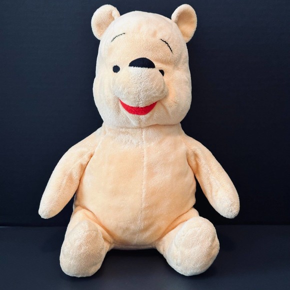 Disney | Toys | Disney Kohls Cares Winnie The Pooh 2 Stuffed Animal ...
